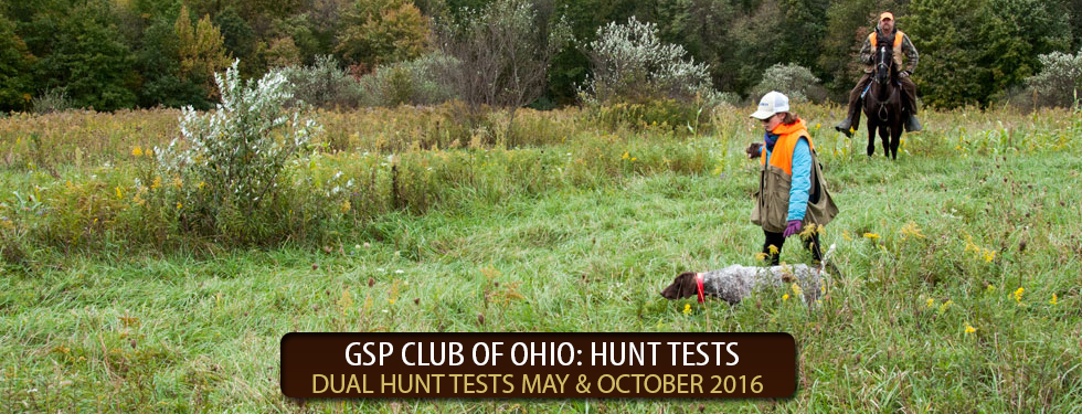 Blog Archives - bloggingpack